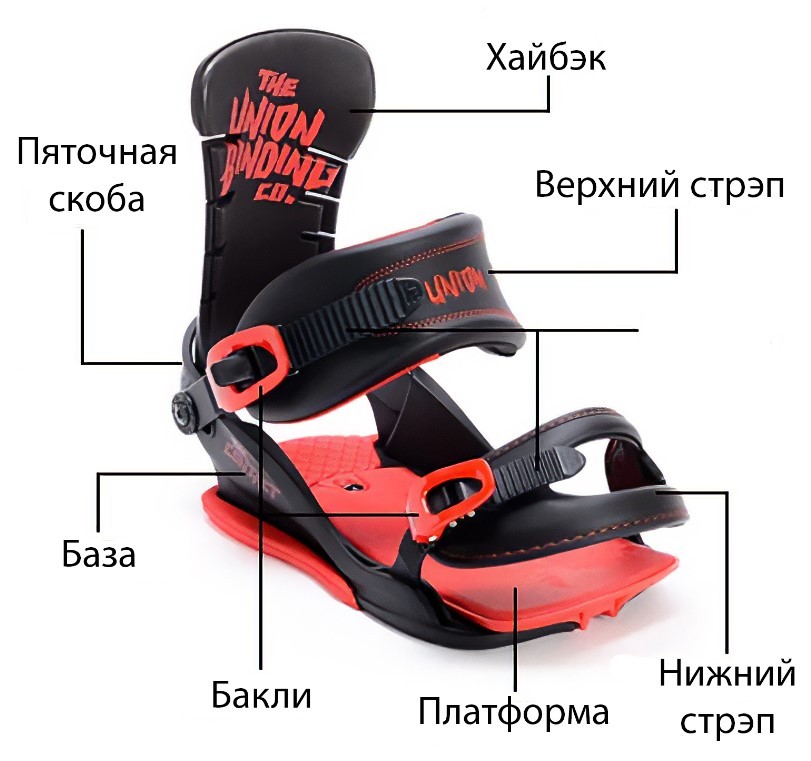 Как выбрать крепления для сноуборда